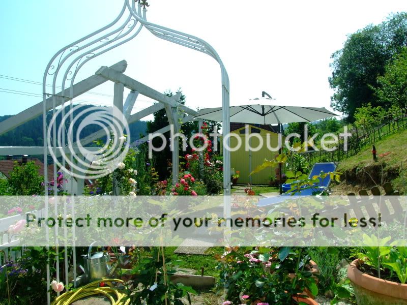 Ich hasse Rosen - Alles rund um die Motorsäge: www.motorsaegen-portal.de