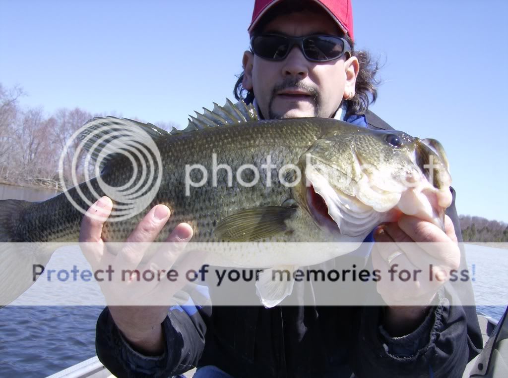 Chatterbaits? | BASS BARN