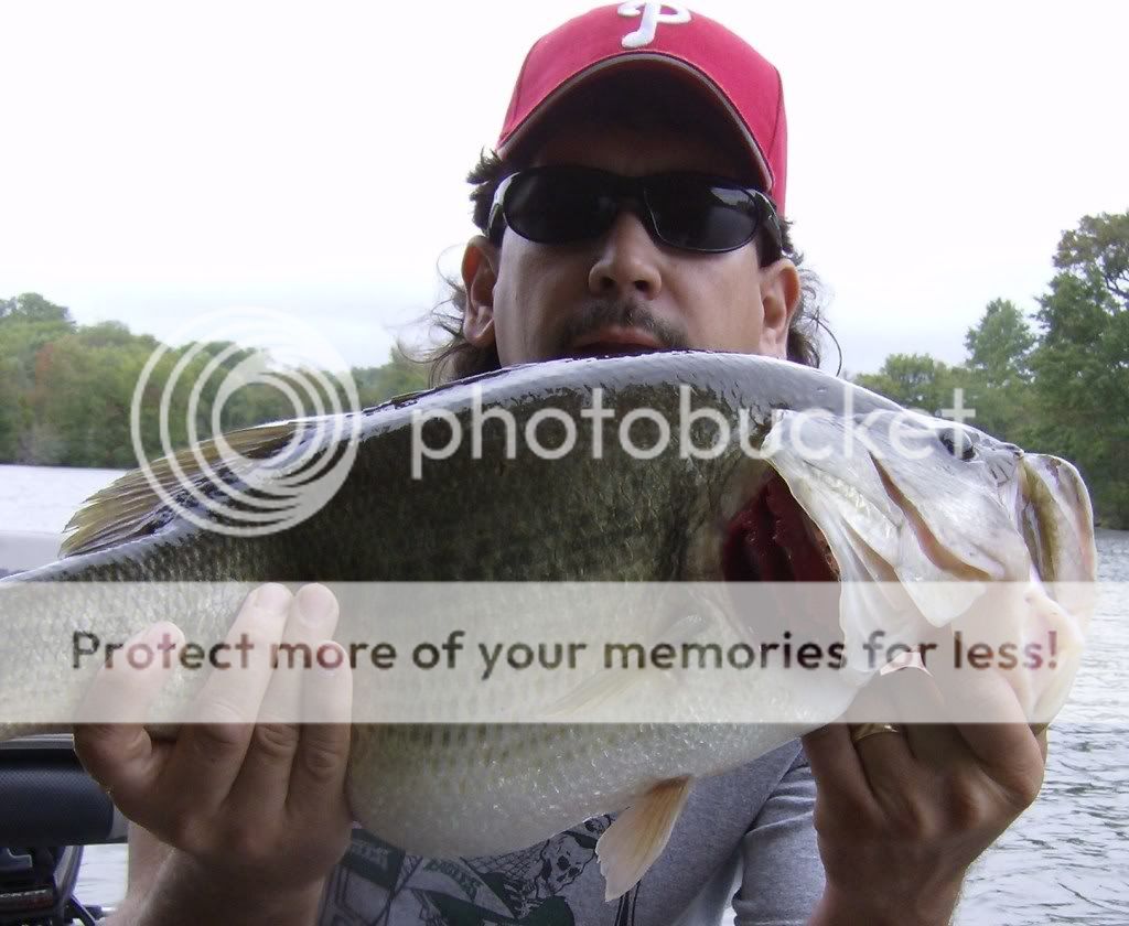 Chatterbaits? | BASS BARN